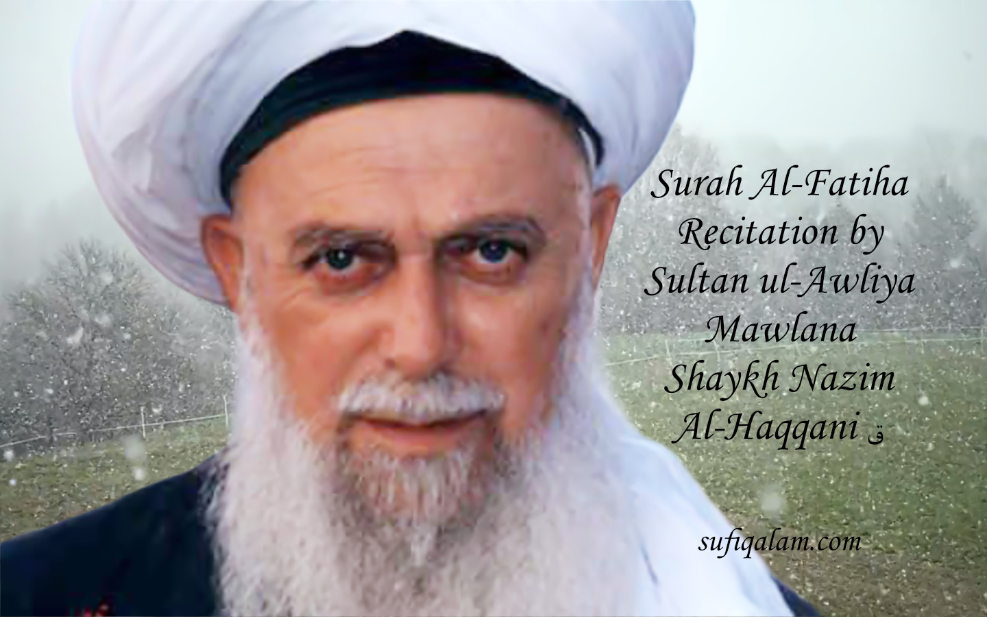 Surah Al-Fatiha Recitation by Sultan ul-Awliya Mawlana Shaykh Nazim Al ...